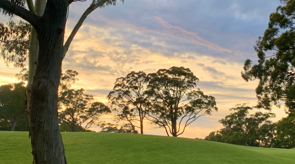 Oakleigh Golf Course - Oakleigh Golf Course